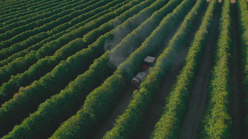 coffee harvester machine spray tractor Stock Footage Video (100% ...