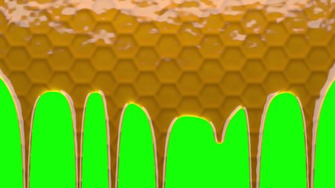 371 Bee green screen Stock Video Footage - 4K and HD Video Clips ...