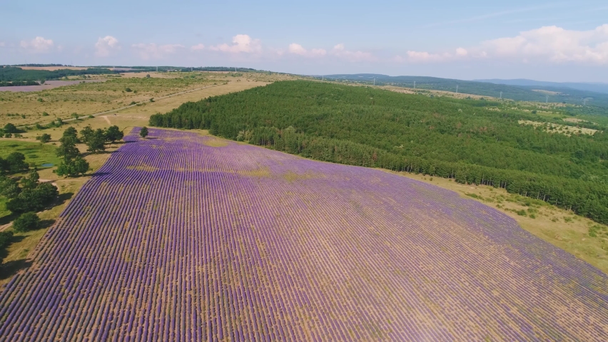 23 Lavender field and wind turbine Stock Video Footage - 4K and HD ...