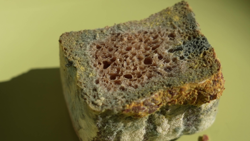 7 Ugly food photo Stock Video Footage - 4K and HD Video Clips ...