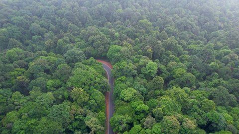 Agumbe Forest Road Nature Background Stock Footage Video (100% Royalty ...