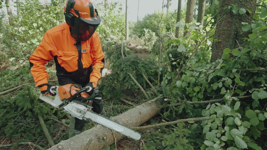 Handheld Female Logger Forest Young Woman Stock Footage Video (100% ...