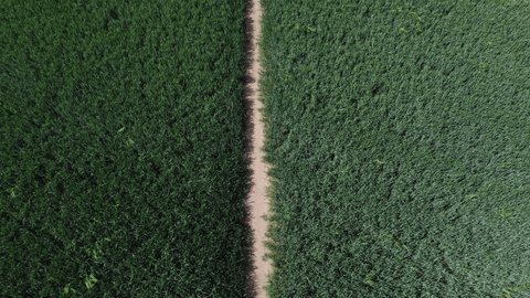 Pathway Fields Ariel View Stock Footage Video (100% Royalty-free ...