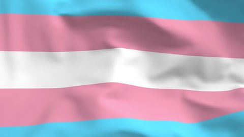 Waving Transgender Pride Flag Loop Stock Footage Video (100% Royalty ...