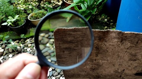 1,976 Magnifying glass object Stock Video Footage - 4K and HD Video ...