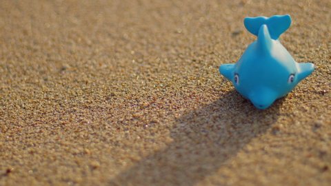 Blue Plastic Dolphin On Sandy Beach Stock Footage Video (100% Royalty ...