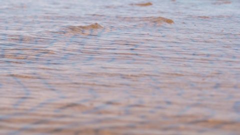 Sea Water Washes Sand Shore Water Stock Footage Video (100% Royalty ...