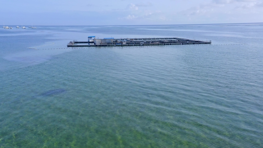 25 Dolphin enclosure Stock Video Footage - 4K and HD Video Clips ...