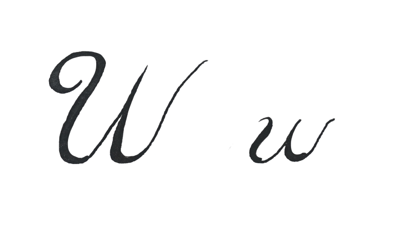 12 Handwritten letter w Stock Video Footage - 4K and HD Video Clips ...