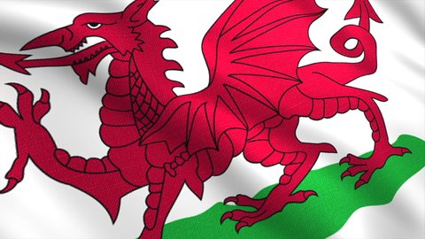 260 Wales national emblem Stock Video Footage - 4K and HD Video Clips ...