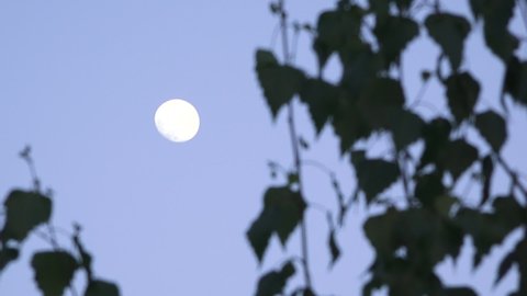 Bright Almost Full Moon Shining On Stock Footage Video (100% Royalty ...