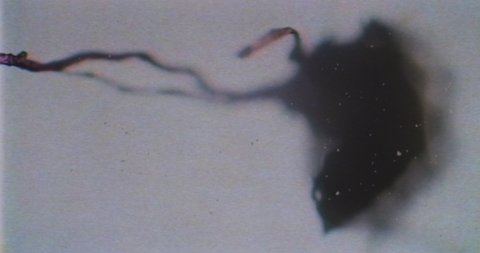 Vhs Recording Horror Bacteria Large Dark Stock Footage Video (100% ...