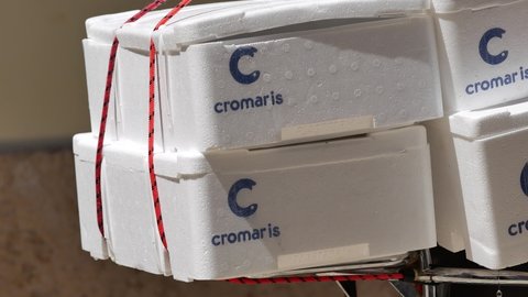 Cromaris Logo On Styrofoam Boxes Chilled Stock Footage Video (100% ...