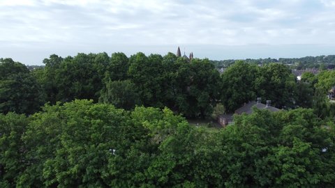 Aerial View Rising Above Tall Trees Stock Footage Video (100% Royalty ...