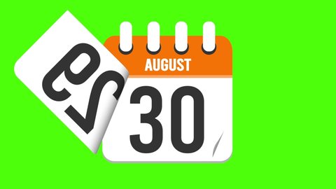 August 31 Calendar Appearing Pages Dropping Stock Footage Video (100% ...