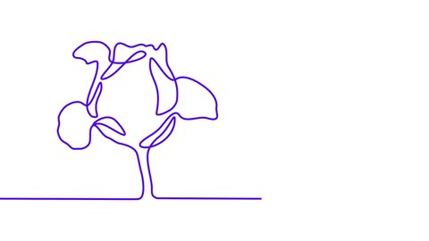 Flower Silhouette Continuous One Violet Line Stock Footage Video (100% ...