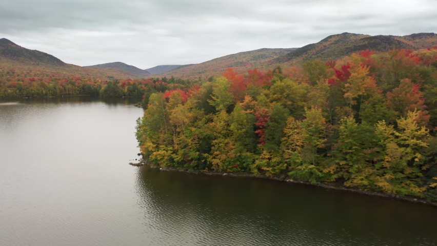 Island with trees in the middle of the lake image - Free stock photo ...