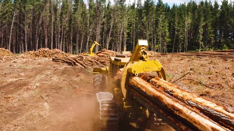 Skidder Dragging Lumber Logs Clearcutting Area Stock Footage Video (100 ...
