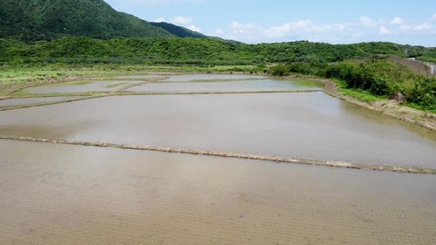 Aerial View Paddy Fields Iriomote Island Stock Footage Video (100% ...
