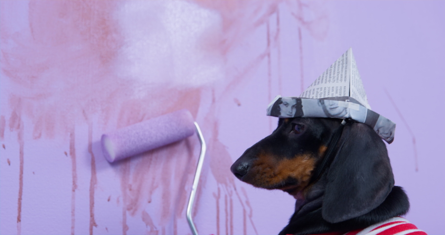 113 Layered paper animals Stock Video Footage - 4K and HD Video Clips ...