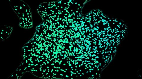 Green Abstract Shape Motion Graphics Perfect Stock Footage Video (100% ...