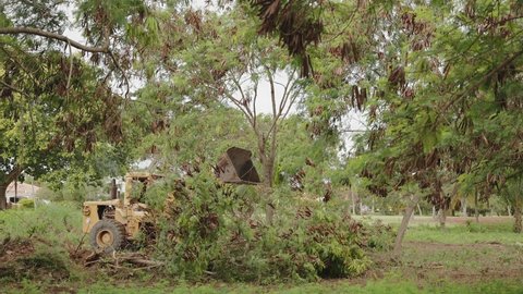 Bulldozer Excavator Smashing Tree Green Forest Stock Footage Video (100 ...