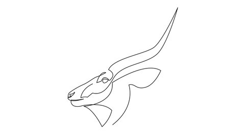 Animation One Single Line Drawing Nyala Stock Footage Video (100% ...
