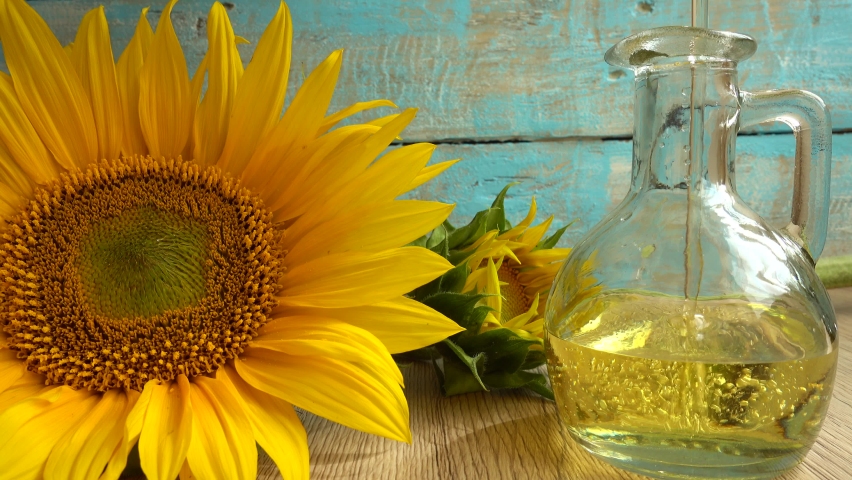 30 Sunflowers turquoise background Stock Video Footage - 4K and HD ...