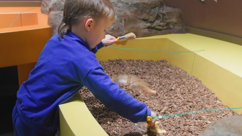 Modern Educational Simulations Children Little Boy Stock Footage Video ...