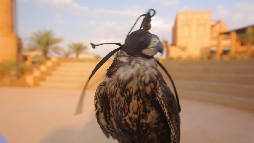 3 Falconry bells Stock Video Footage - 4K and HD Video Clips | Shutterstock
