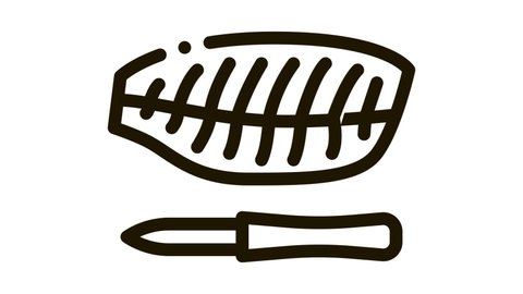 Fish Fillet Icon Animation Line Stock Footage Video (100% Royalty-free ...