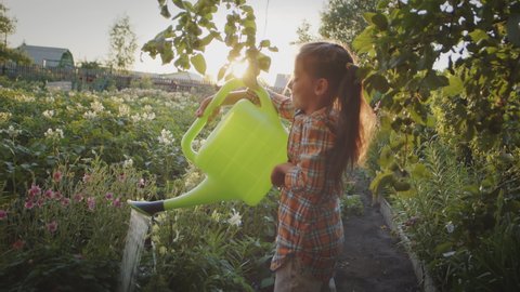 Happy Smiling Child Girl Helper Pouring Stock Footage Video (100% ...