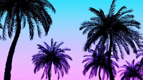 Palm Tree Silhouette Loop Vaporwave Synthwave Stock Footage Video (100% ...
