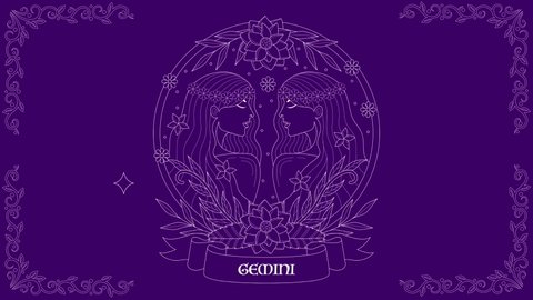 Gemini Animation Video Line Style Drawing Stock Footage Video (100% ...