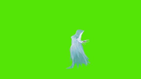 Scary Ghost Fast Flies Green Screen Stock Footage Video (100% Royalty ...