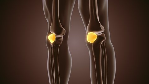 Human Patella Pain Animation Background Stock Footage Video (100% ...
