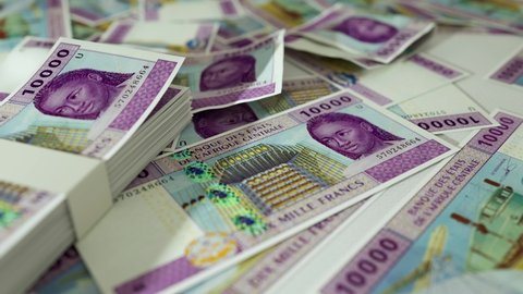 3d Animation Camera Panning Around Spread Stock Footage Video (100% ...