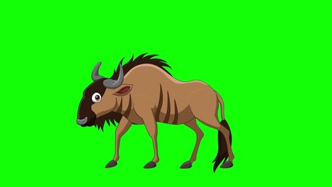 Cartoon Wildebeest Walking Animation On Green Stock Footage Video (100% ...