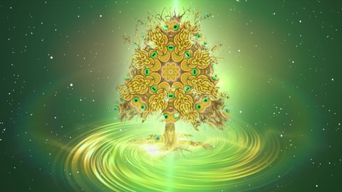 Animated Tree Life Silhouette Effects Stock Footage Video (100% Royalty ...