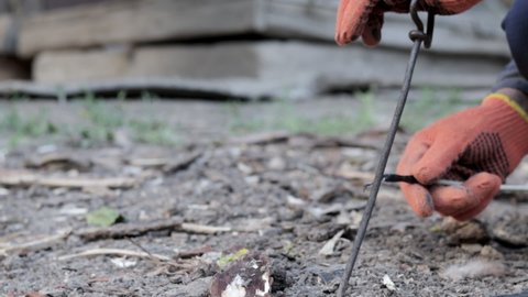 Extraction Worms By Electric Current 220 Stock Footage Video (100% ...