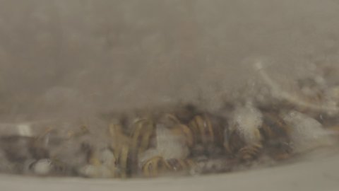 Modern Method Snail Extraction Mucin Snails Stock Footage Video (100% ...