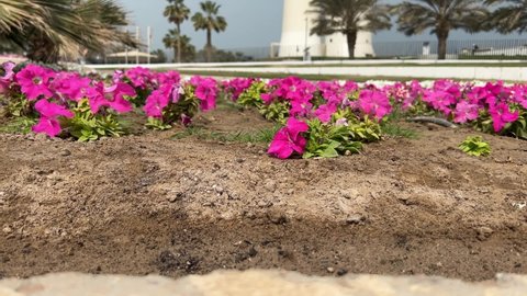 Stock Video Portfolio by photographer nasser | Shutterstock