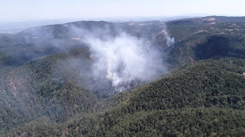 Aerial View Wildfire On Mountain Forest Stock Footage Video (100% ...