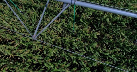 Drip Irrigation Systems Farms Agronomy Aerial Stock Footage Video (100% ...