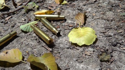 Bullet Casings Fall Ground Shooting Forest Stock Footage Video (100% ...