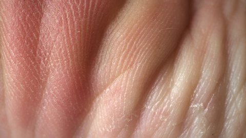 Old Human Skin Slider Shot Stock Footage Video (100% Royalty-free ...