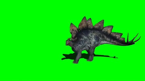 Stegosaurus Roaring Attacking On Green Screen Stock Footage Video (100% ...