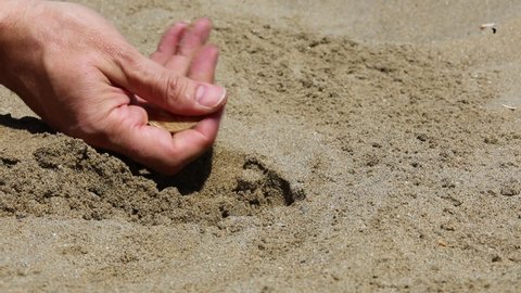 Hand Person Digging Sand Find Golden Stock Footage Video (100% Royalty ...