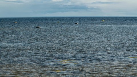 High Tide Low Tide Time Lapse Stock Footage Video (100% Royalty-free ...
