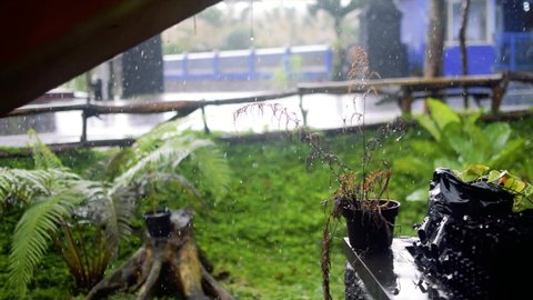 Heavy Rain Coffee Shop Stock Footage Video (100% Royalty-free ...